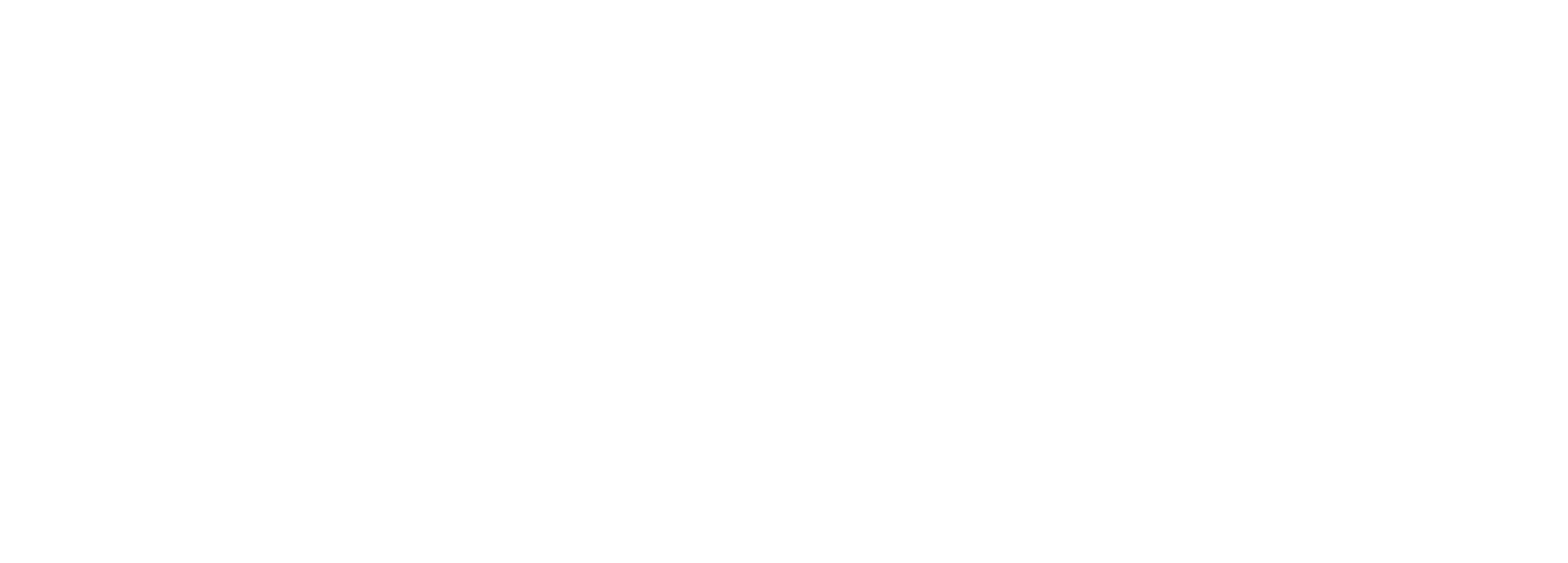 Vision Processing - indie